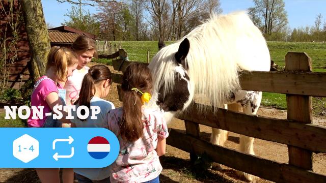 Non-Stop Kinderclips / MinidiscoTV